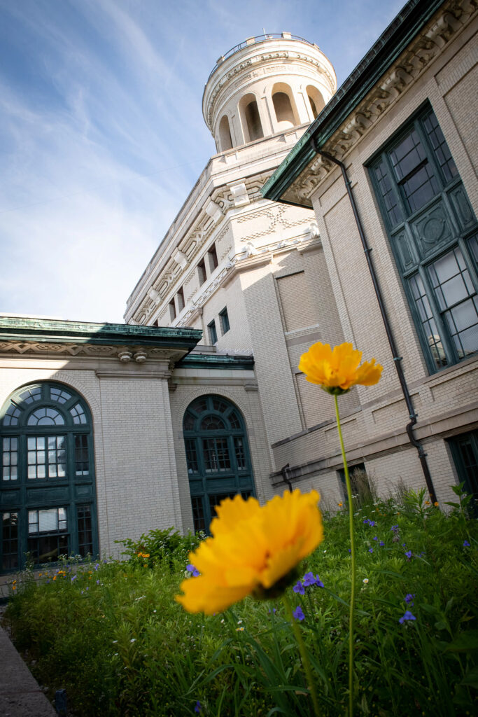 See the World - Carnegie Mellon University in Qatar